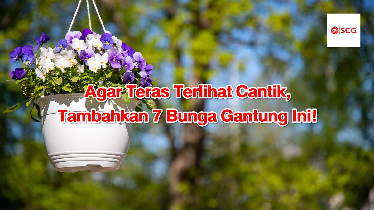 Agar Teras Terlihat Cantik, Tambahkan 7 Bunga Gantung Ini!